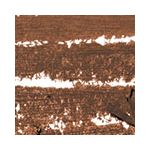 BLK/OPL TRUE COLOR® Skin Perfecting Stick Foundation