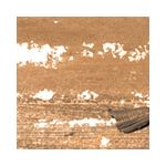 BLK/OPL TRUE COLOR® Skin Perfecting Stick Foundation