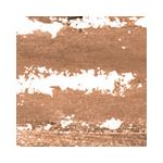 BLK/OPL TRUE COLOR® Skin Perfecting Stick Foundation