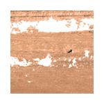BLK/OPL TRUE COLOR® Skin Perfecting Stick Foundation